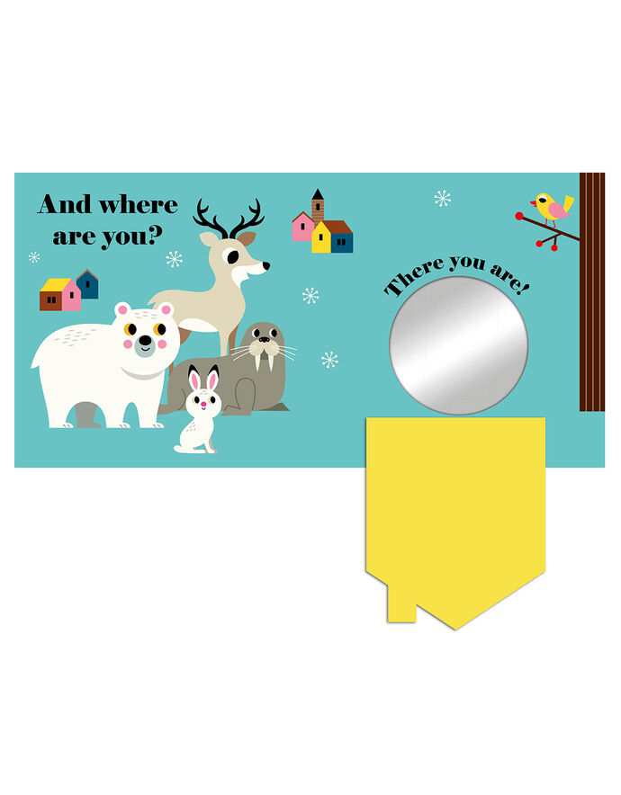 Bookspeed Where's Mr Polar Bear?