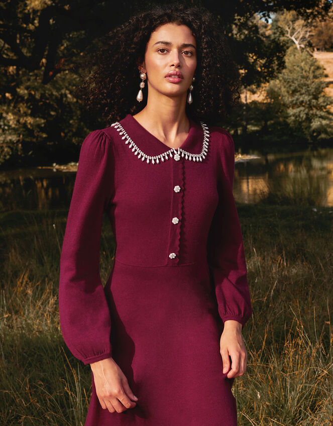 Cleo Collar Dress | Day Dresses | Monsoon UK.