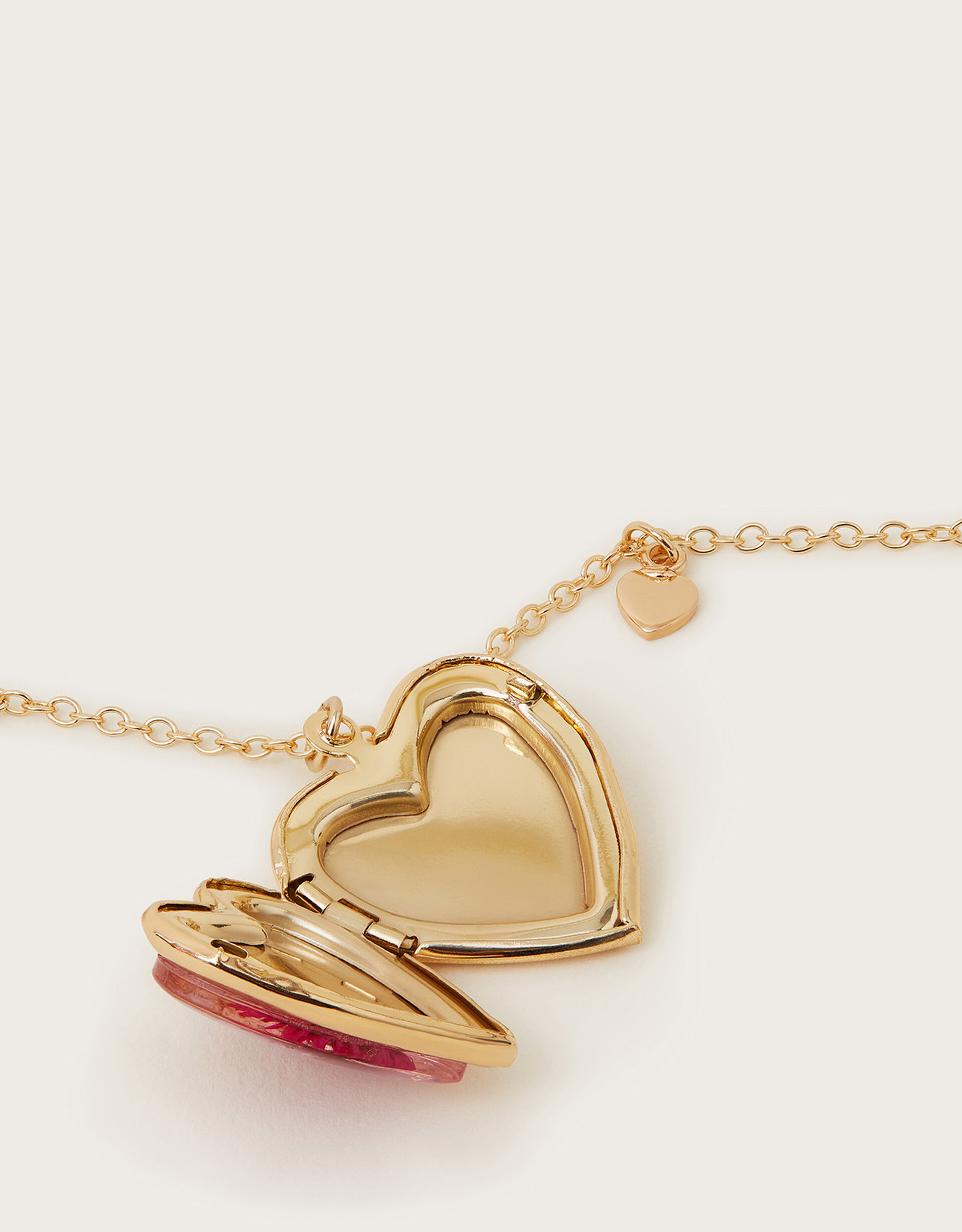 Pressed Flower Locket Necklace | Accessories | Monsoon UK.