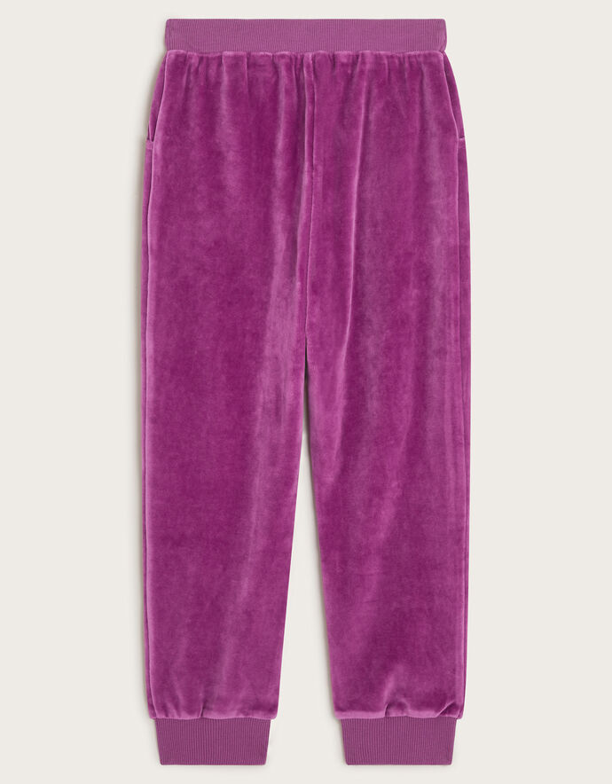 Embroidered Velour Joggers Purple