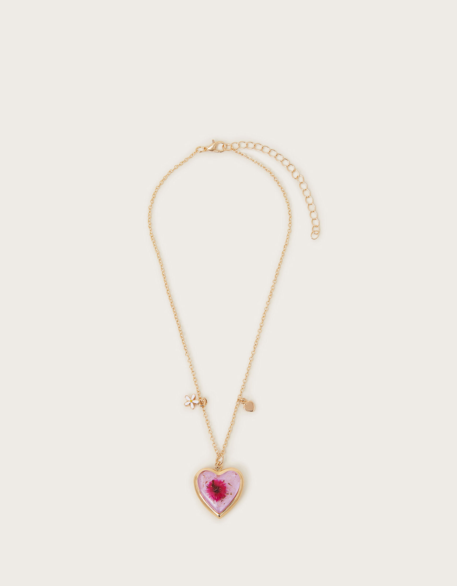 Pressed Flower Locket Necklace | Accessories | Monsoon UK.
